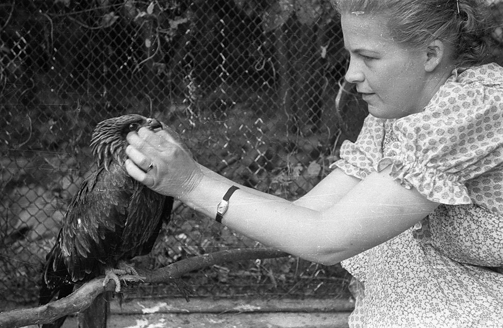 Antonina and Jan Żabiński in Archival Photos – Image Gallery | Gallery ...