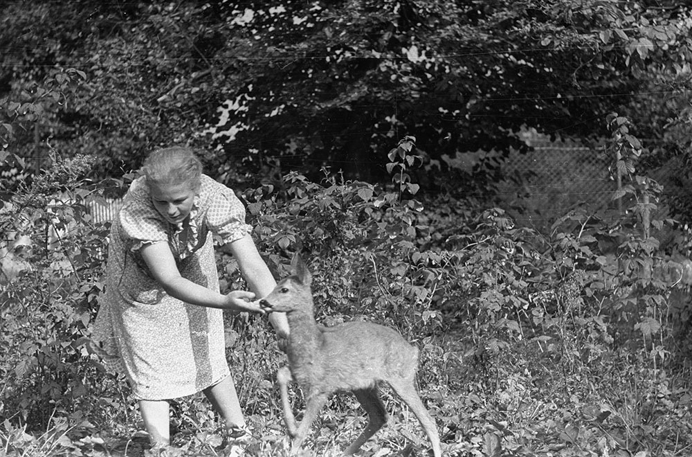 Antonina and Jan Żabiński in Archival Photos – Image Gallery | Gallery ...