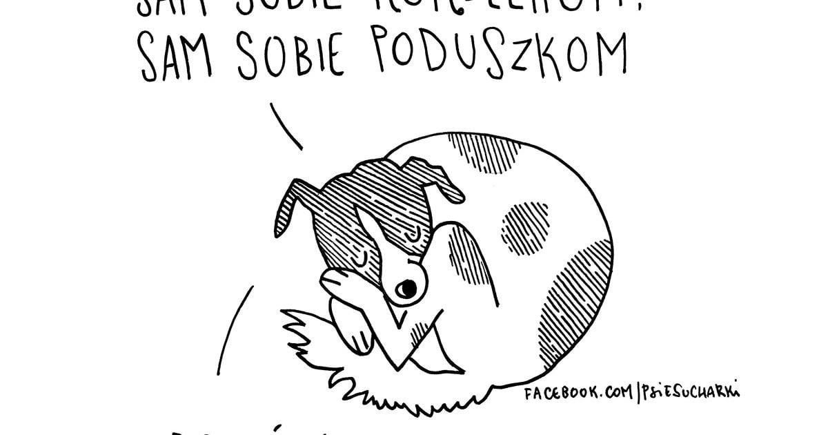 "Psie sucharki" Marii Apoleiki [galeria] | Galeria | Culture.pl