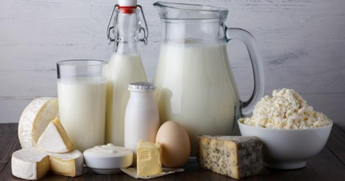 A Mini-Guide to Polish Dairy | Article | Culture.pl