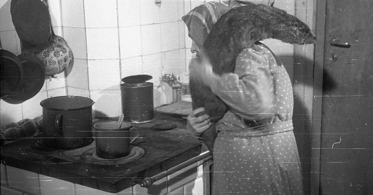 Antonina and Jan Żabiński in Archival Photos – Image Gallery | Gallery ...