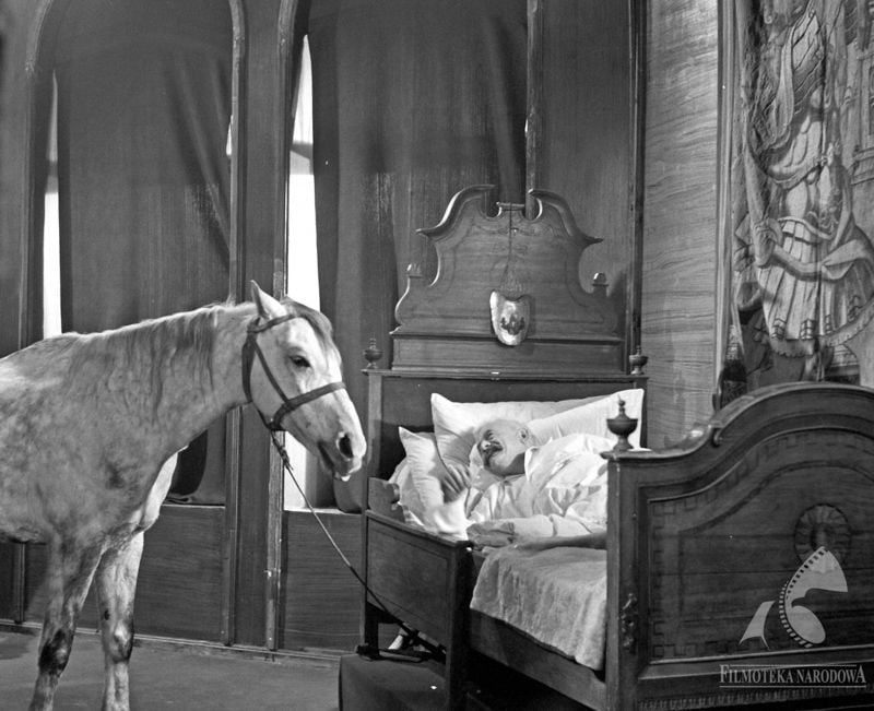 Paintings in a Frame: The Films of Andrzej Wajda | Article | Culture.pl