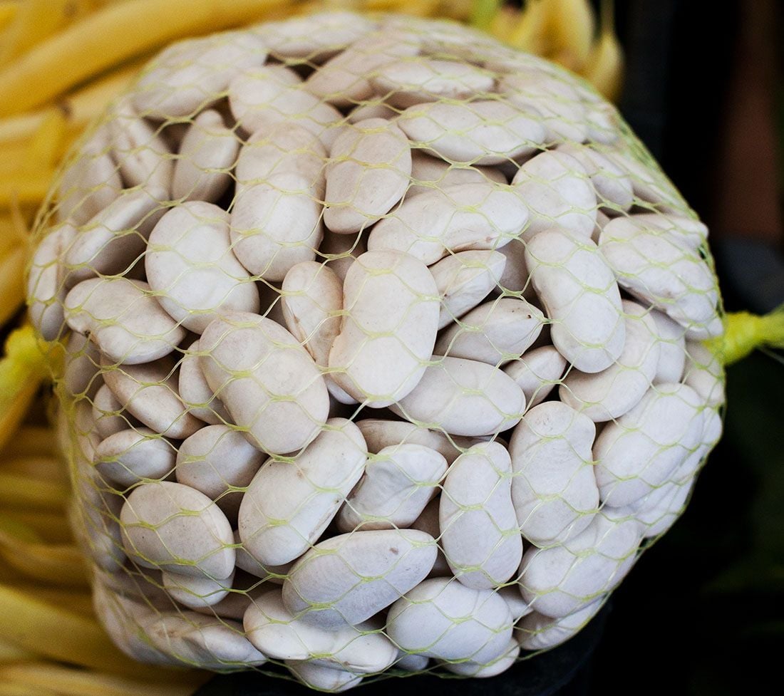 Handsome Johnny from the Dunajec Valley: A Versatile Polish Bean ...