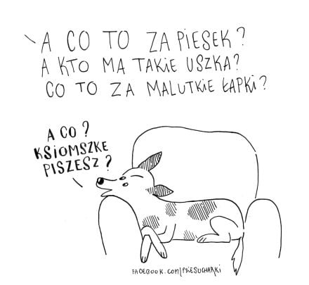 "Psie sucharki" Marii Apoleiki [galeria] | Galeria | Culture.pl