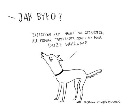 "Psie sucharki" Marii Apoleiki [galeria] | Galeria | Culture.pl