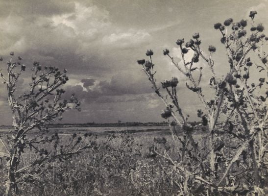Jan Bułhak - Życie i twórczość | Artysta | Culture.pl