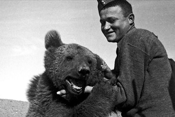 One Photo One Story: Wojtek the Soldier Bear | Article | Culture.pl